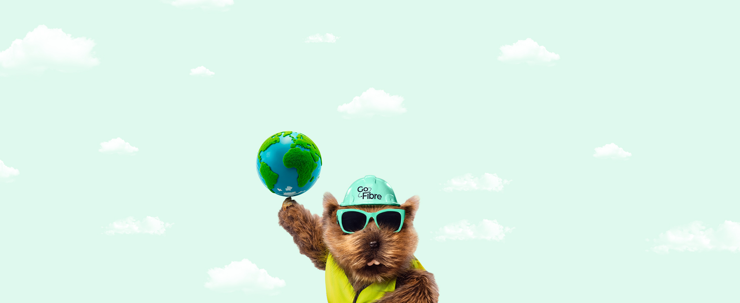 GoFibre Global Comparisons - Guy & Co